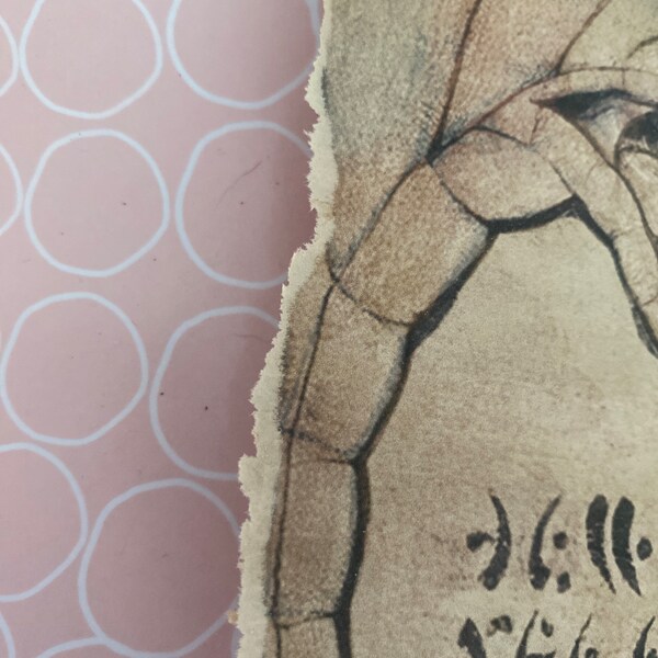 The Map of Indiana Jones Adventure: Temple of the Forbidden Eye - Etsy