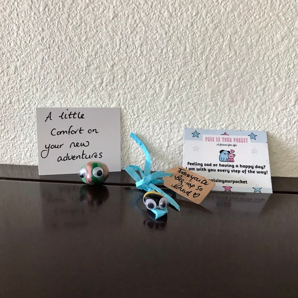 Pocket Worry Stone , Animal Pal, Worry and Anxiety Relief, Mindfulness ...