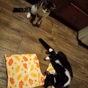 Caramel Apple Cat Toy - Etsy