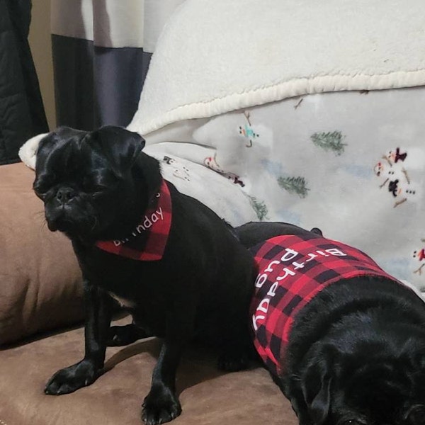 Pee Pee Tee Pee 4 Pack - Etsy