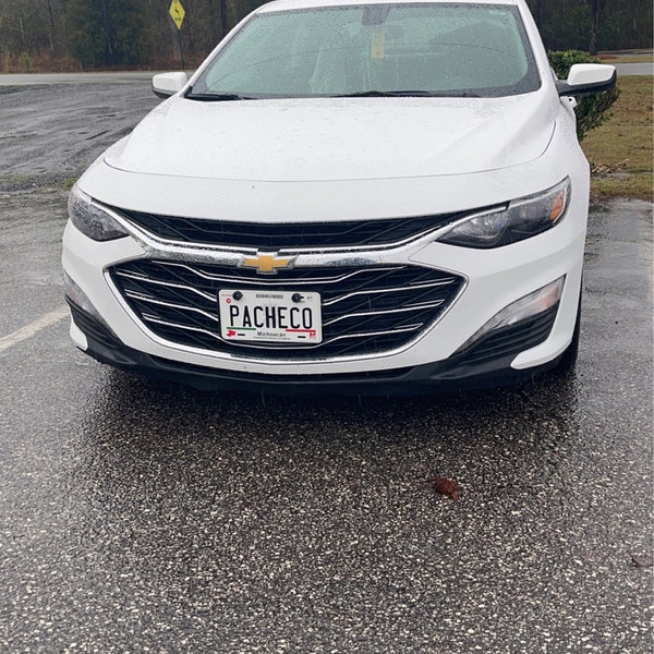 Durango Mexico License Plate 01 - Etsy