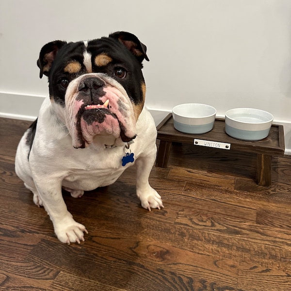 Modern Elevated Dog Feeder | Pretty Girl Dog Bowl Stand | Personalized ...