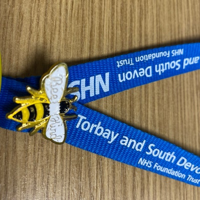 Barbour Pin Badge Enamel Embossed Gold With Dark Green Safety Pin ...