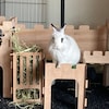 Wooden Rabbit House, Bunny сastle 2 Ramps - Etsy