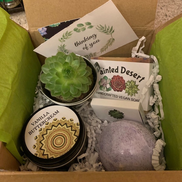Get Well Gift Box Healing Vibes Succulent Gift Box Set, Send a Gift ...