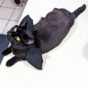 Cat Bat Wing Costume Cat Apparel / Clothing Pet - Etsy