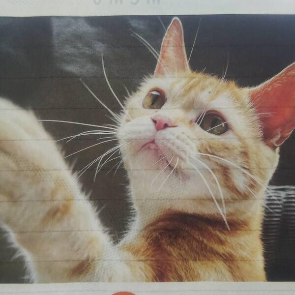 3D Printed Engineering Flowchart Sign – Engineer Wall Art - Etsy