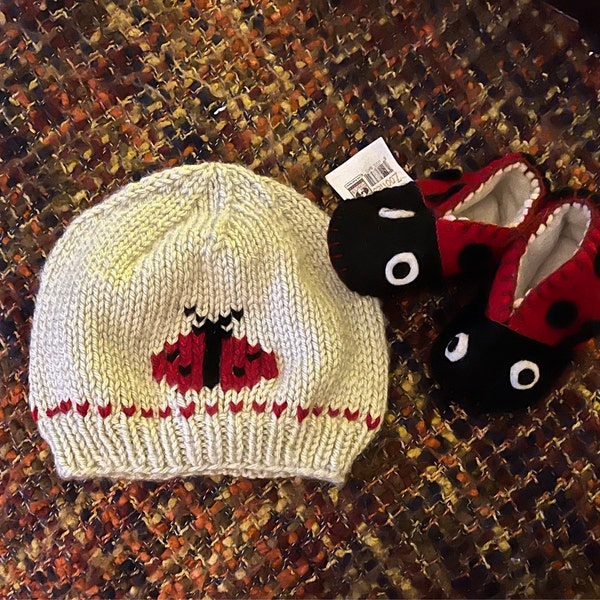 Ladybug Hat Knitting Pattern Knit Winter Beanie Toque Insect Bug Summer ...