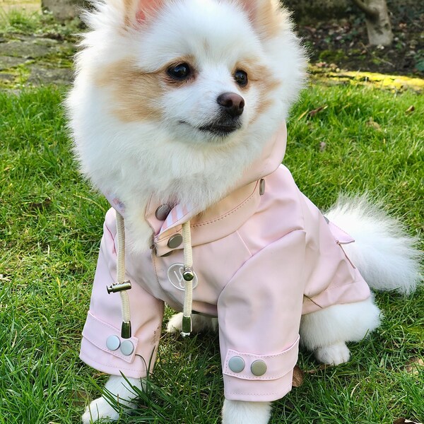 Dog Flight Jacket | Red - Etsy