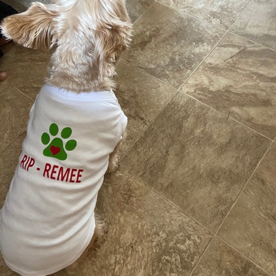 Custom Dog Shirt With Paw Print and Heart, Personalized Dog Shirt ...