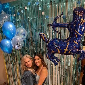 Zodiac Balloons Zodiac Party Decor Party Balloons | Etsy UK