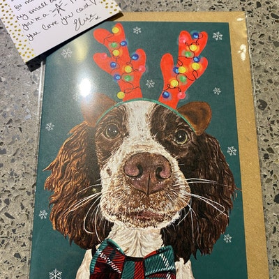 Light/cream/apricot Cockapoo Christmas Card Blank Inside - Etsy