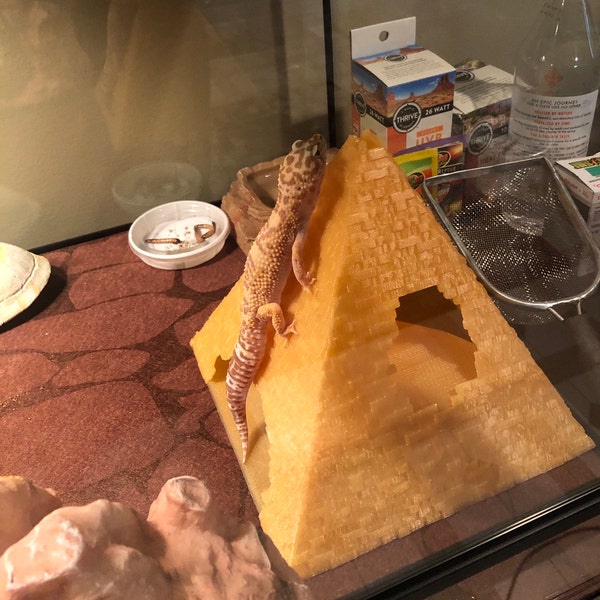 Stroodies Great Pyramid Hide for Leopard Geckos - Etsy