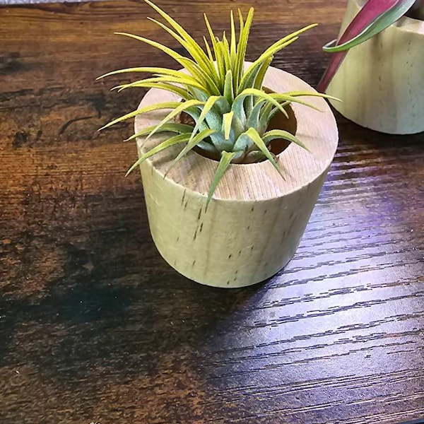 Elliot Planter Speckled Ombré Ceramic Pot in Multiple Sizes - Etsy
