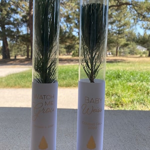 Baby Shower Favors Gift Tree Favors Seedling Shower Favor Sprinkle ...