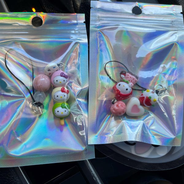 Toast Cat and Sushi Plushie Keychains, Kawaii Plushie Fluffy Keychains ...