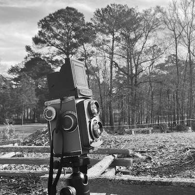 Ricoh Ricohflex Model VIIS Vintage Medium Format TLR Camera, Overhauled ...