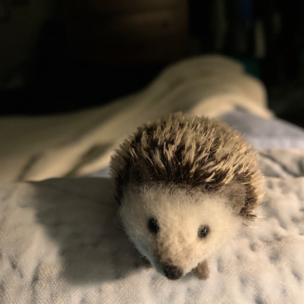 Miniature Hedgehog - Felted Hedgehog - Cute Hedgehog - Hedgehog ...