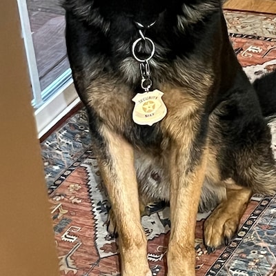 Letter a Dog Tag-pet ID Tag-unique Pet Tag-custom Hand Crafted Engraved ...