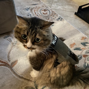 STINKY POOP Morale Patch - Etsy