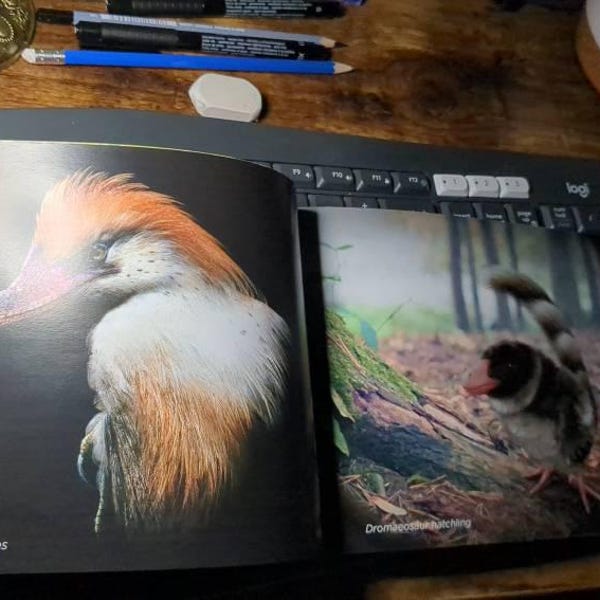 NOVOSAURS 2 Book - Etsy