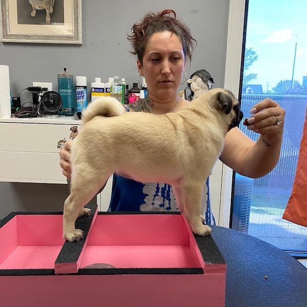 Dog Show Training Stack Box Toy Adult Size Stack Training 20" X 12 ...