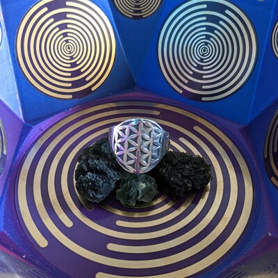 Black Snake Ring, Solid Silver Snake Jewelry, Ruthenium Plated Ring ...