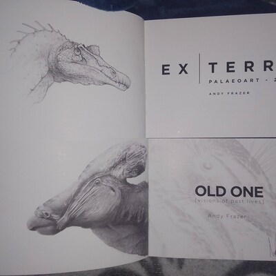 NOVOSAURS Book - Etsy