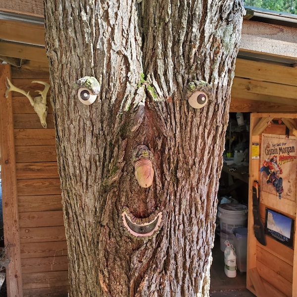 Willy the Tree Face. Funny Faces for Trees. Outdoor Sculpture, Statue ...