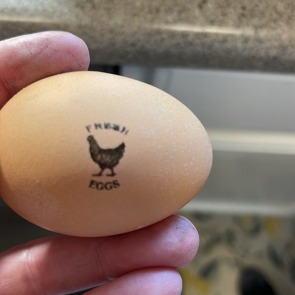 Choose 2 Egg Stamps | Mini Egg Stamp | Homesteading | Farm Stamp | Egg ...