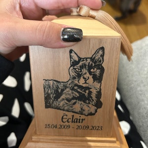 Guinea Pig Urnrat Urn Custom Rat Urnhamster Urnashes Urn - Etsy