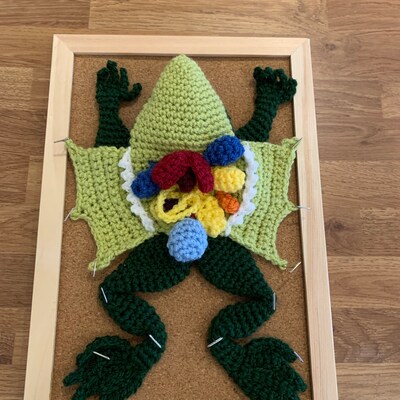 Crochet Dissected Frog PDF PATTERN ONLY Amigurumi Wall - Etsy Singapore