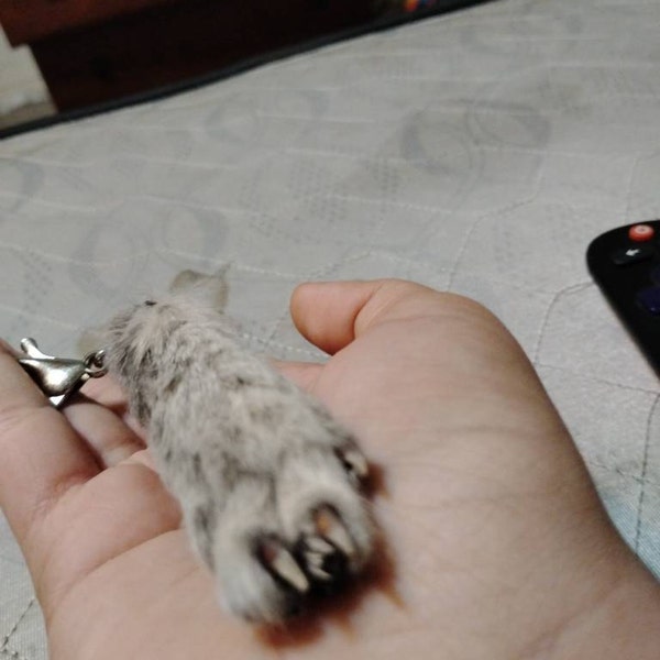 Theta Delta Wolf Coyote Therian Sticker Vinyl 3 Inch - Etsy