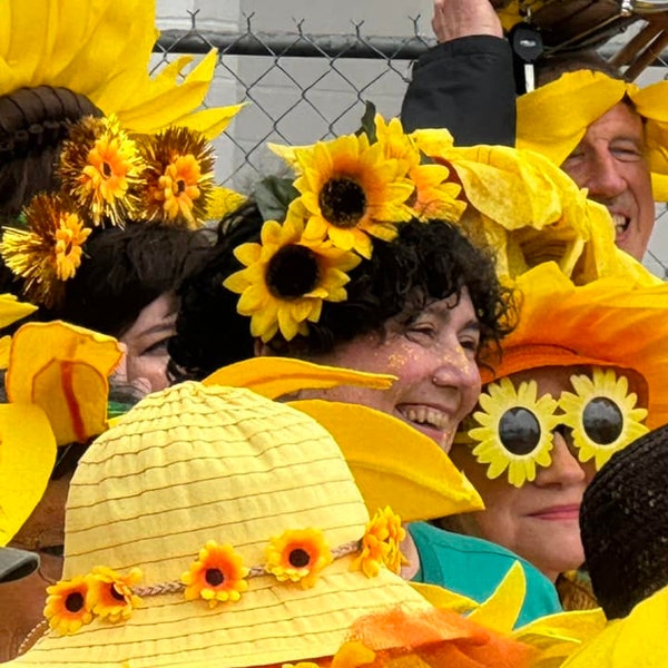 Mermaid Shell Bra Top mermaid Bra Sea Shell Costume Princess Bikini Top ...