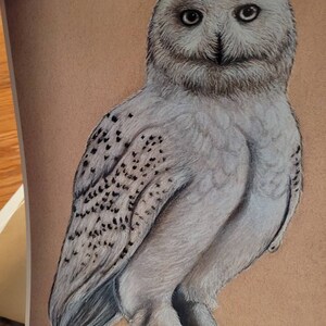 Mattheo Riddle Charcoal Drawing 8.5 X 11 Professional Print - Etsy