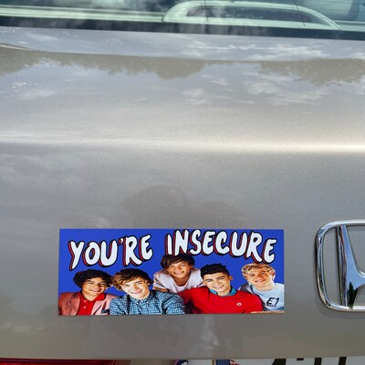 You're Insecure Bumper Sticker & Car Magnet - Etsy
