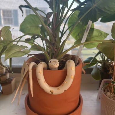 Snake Plant Pal Accessory - Etsy