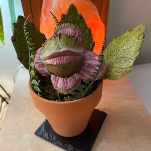 Audrey 2 II little Shop of Horrors - Etsy