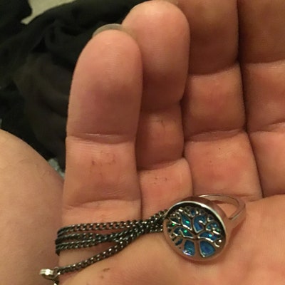 Natal Plum, Large Num Num Plant Cutting Organic Fruit Carissa ...