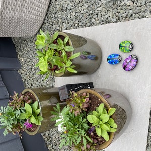 Hand Painted Polka Dot Stone Unique Painted Stones | Etsy