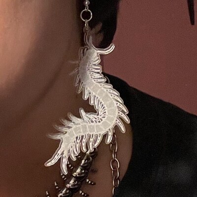 Centipede Scolopendra Centipedes Invertebrates Arthropod Chilopoda Drop ...