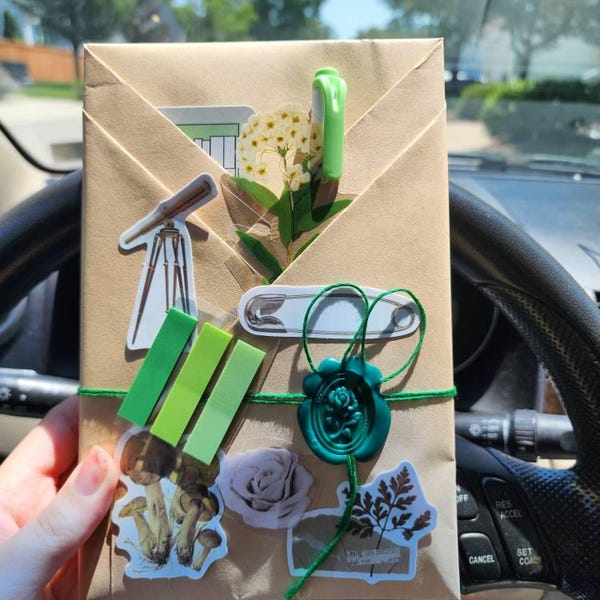 Valentine's Day Blind Date With a Book - Bookish Gifts - Book Lover ...