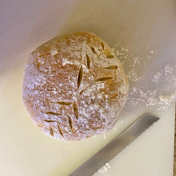 Sourdough Cookbook and Alaska Sourdough Starter, Sourdough Kit, Baking ...