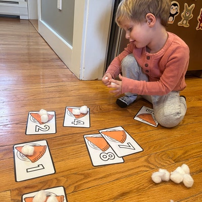 Realistic Montessori Bird Flashcards for Toddlers and Preschoolers ...