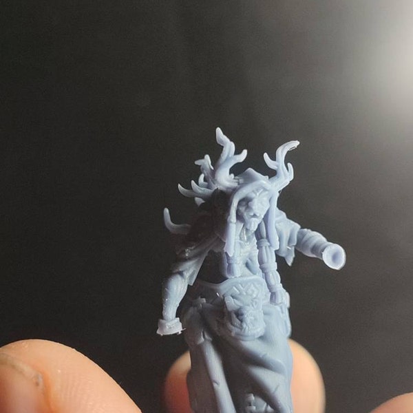 Swamp Hag / Swamp Witch - 28mm Miniatures for Tabletop Gaming (dnd, D&D ...