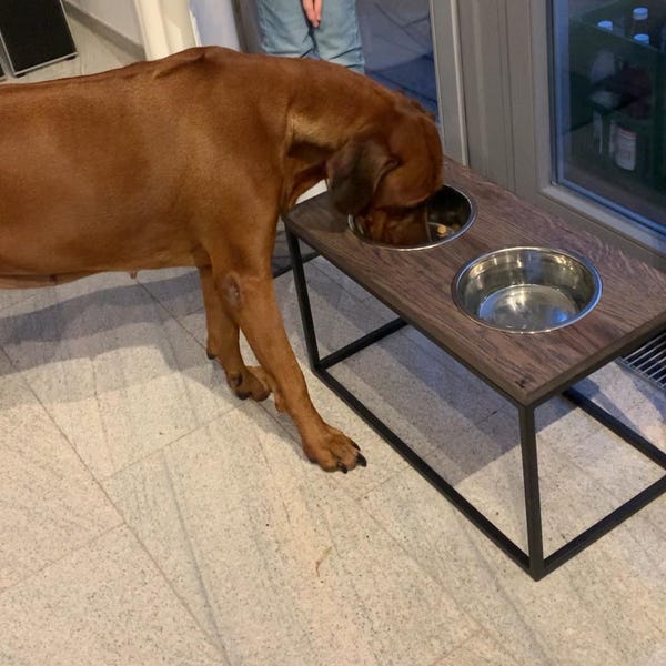 EXTRA LARGE Double Elevated Dog Food Stand 35cm Height BILAR Pet Feeder ...