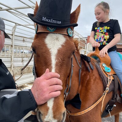 Crinet Crest of Neck Foam Armor for Horses or Ponies Criniere Medieval ...
