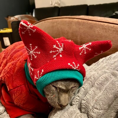 4 Colors Sphynx Cat Clothes/devon Rex Cat Sunmmer Clothes/hairless Cat ...