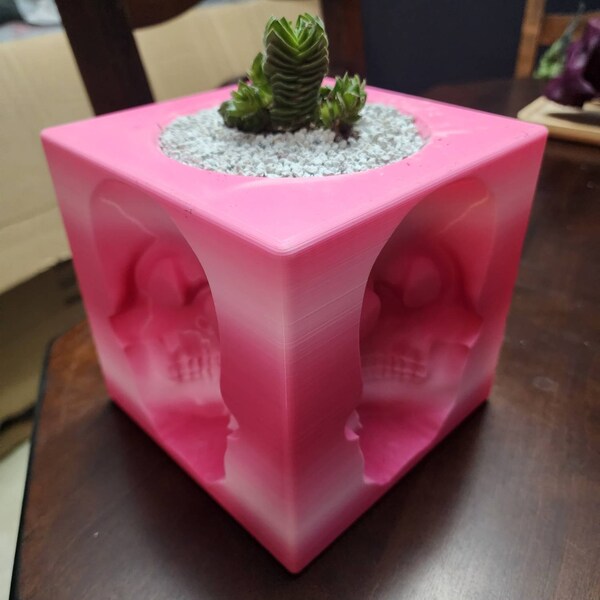 Demon Skull Planter With Horns, 3D Printed, Eco Friendly, Home and ...
