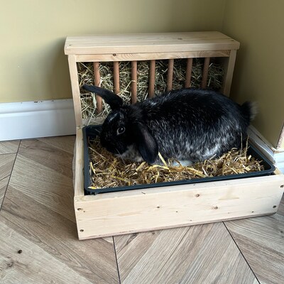 Rabbit Hay Feeder With Removable Litter Tray - Etsy UK